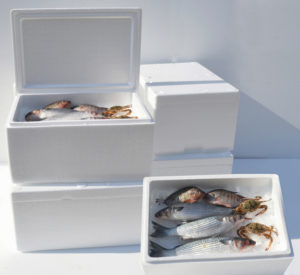 Interesting Facts about Polystyrene and It's Uses | STYRO